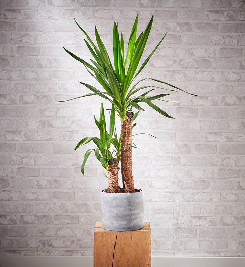 Juka - Leroy Merlin.